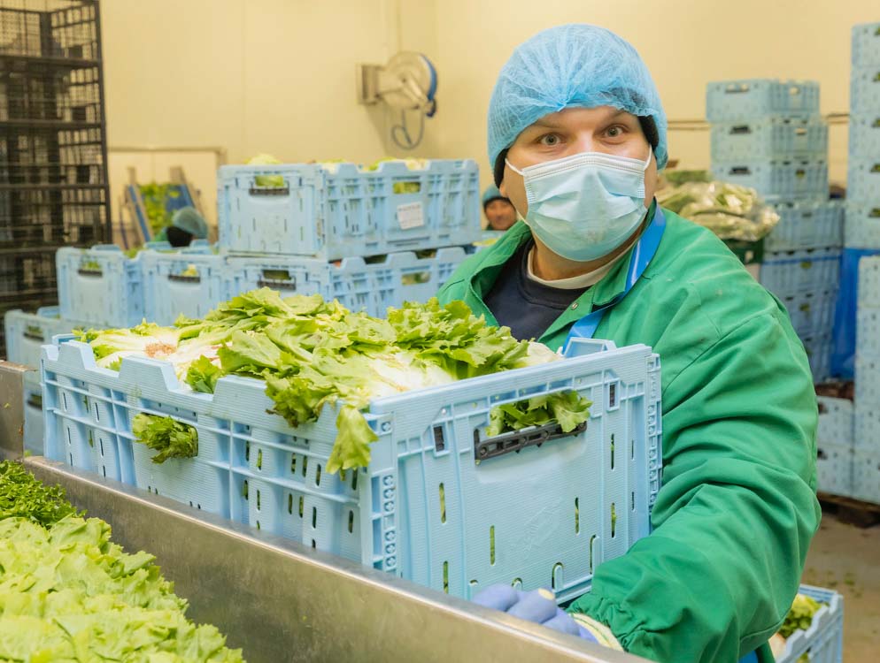 Polonezii de la Green Factory anunță achiziția Eisberg România și ...