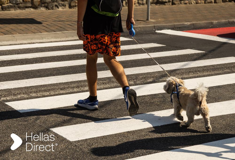 Compania de asigurări Hellas Direct aduce inițiativa Safe Roads project în Piatra Neamț ...