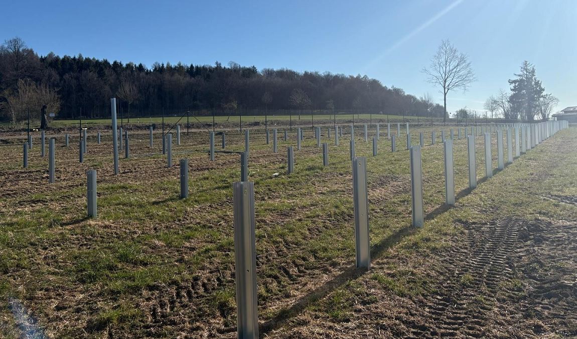 Românii de la Parapet s-au apucat de construcția unui nou parc ...